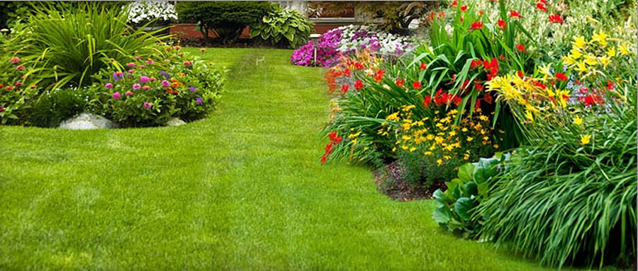 Growers, Turf and Ornamental - USA Gypsum